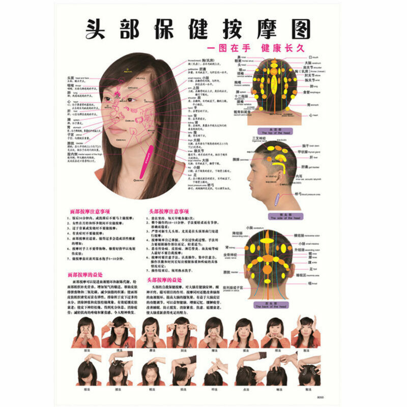 7pcs/set English Acupuncture Meridian Acupressure Points Posters Chart