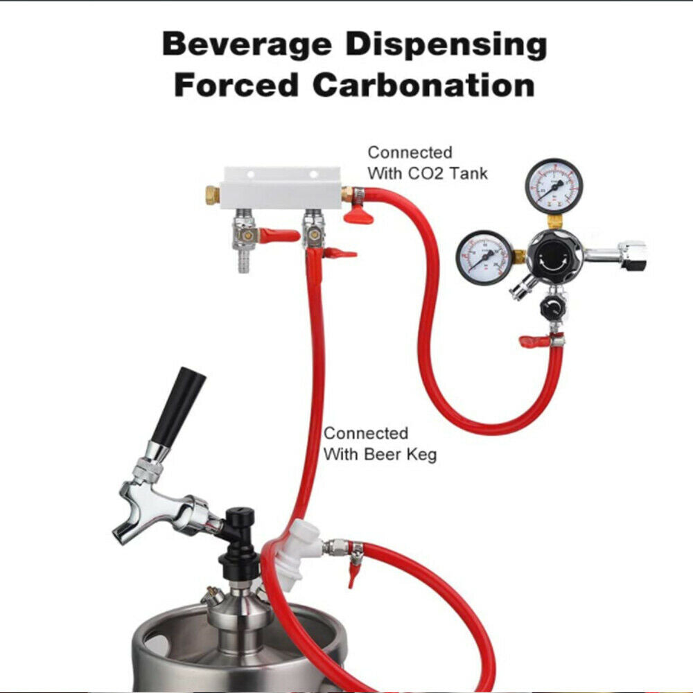 2 Way Gas Distribution CO2 Manifold 5/16" Splitter Beer Integrated Che